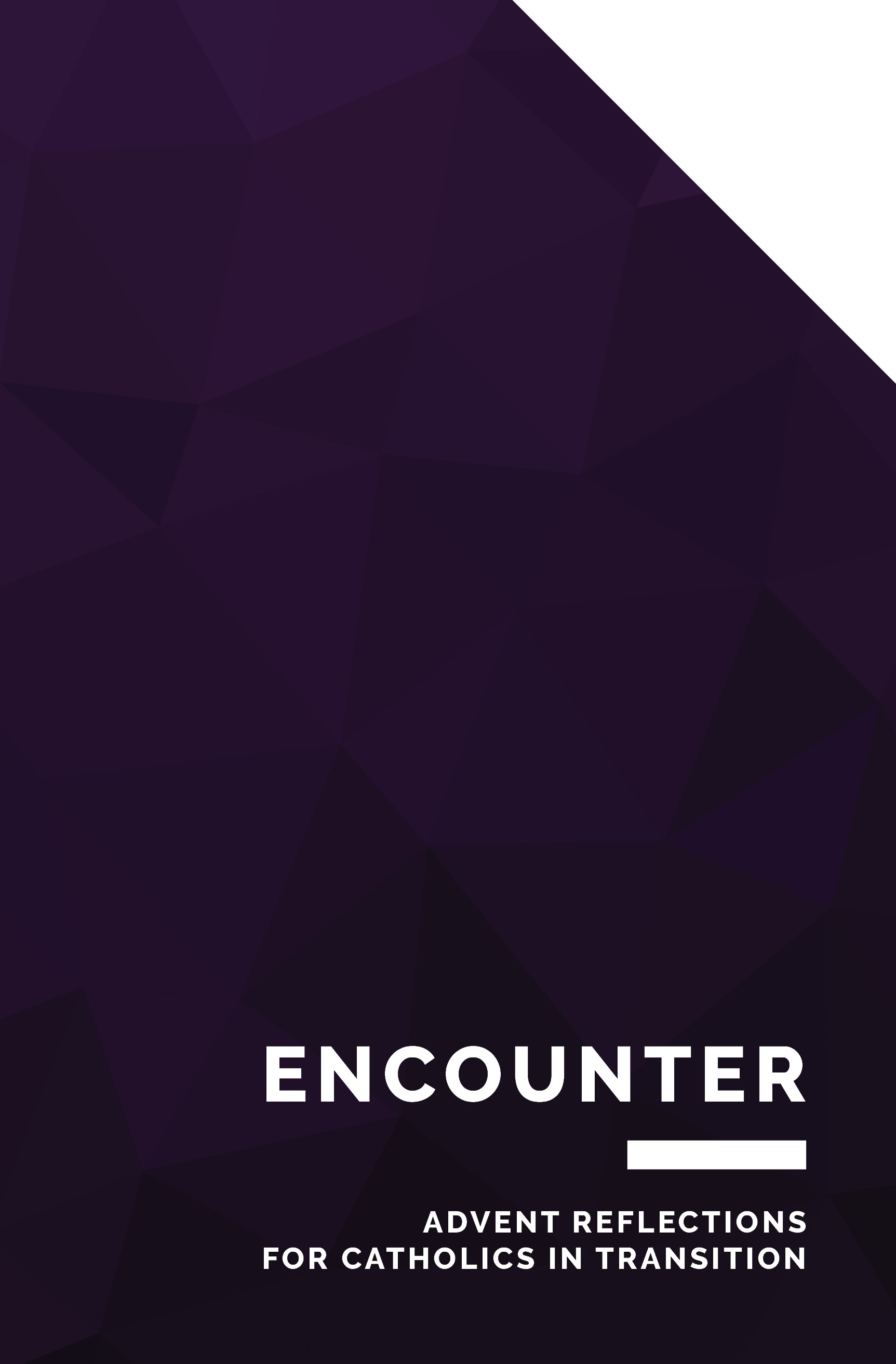 Encounter: Advent Reflections for Catholics in Transition (2nd Edition ...